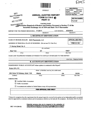 Fillable Online FORM X-17A-5 %- Fax Email Print - pdfFiller