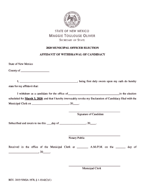 Fillable Online 2020 MUNICIPAL OFFICER ELECTION AFFIDAVIT OF ... Fax ...