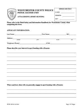 Fillable Online Pistol Permit Recertification: FAQs - New York State ...