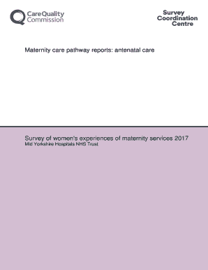 Fillable Online Maternity care pathway reports: Labour and birth Fax ...