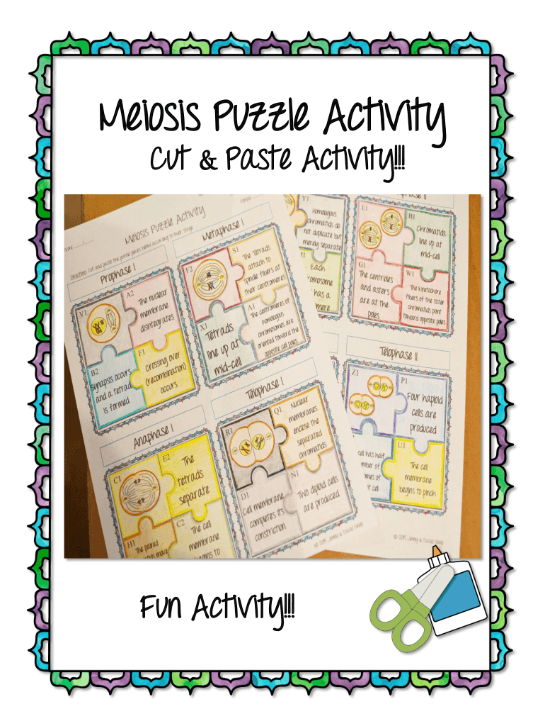 Meiosis Puzzle Activity Answer Key - Fill Online, Printable, Fillable ...