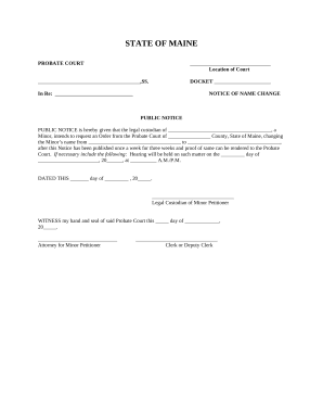 name change minor Doc Template | pdfFiller