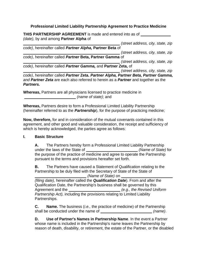 Limited Liability Partnership Template