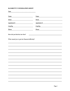 Fillable Online Bankruptcy Information Sheet.doc Fax Email Print ...