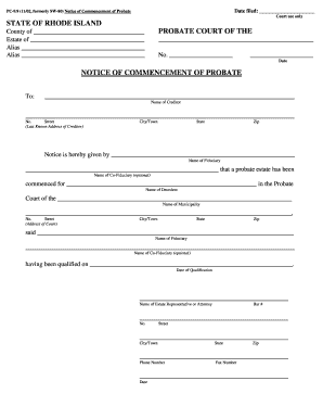 Fillable Online sos ri ri 99 form Fax Email Print - pdfFiller