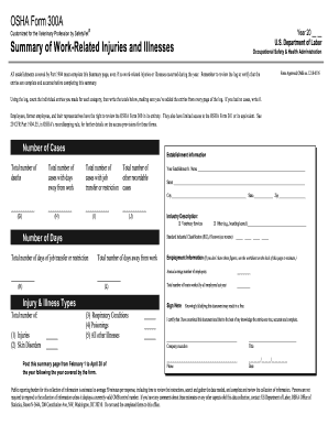 Fillable Online Summary of Work-Related Injuries and Illnesses ...