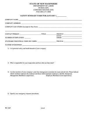 Fillable Online State of New Hampshire Safety Summary Form - Cove Risk ...