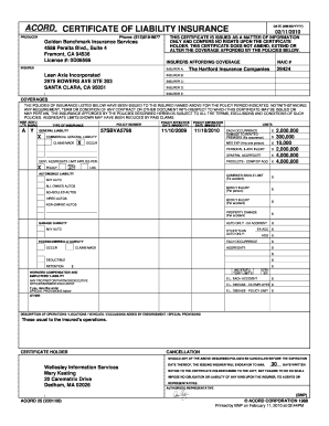 Levis Job Application Form Pdf - Fill Online, Printable, Fillable ...