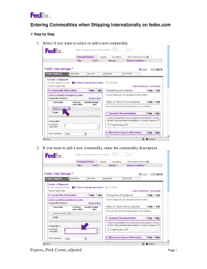 Fillable Online Entering Commodities when Shipping Internationally on ...