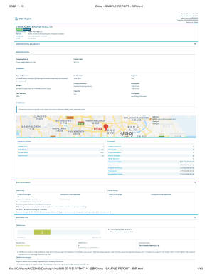 Fillable Online China - SAMPLE REPORT - BIR Fax Email Print - pdfFiller