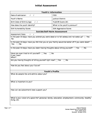 youth level of service/case management inventory (yls/cmi) in pa Doc ...