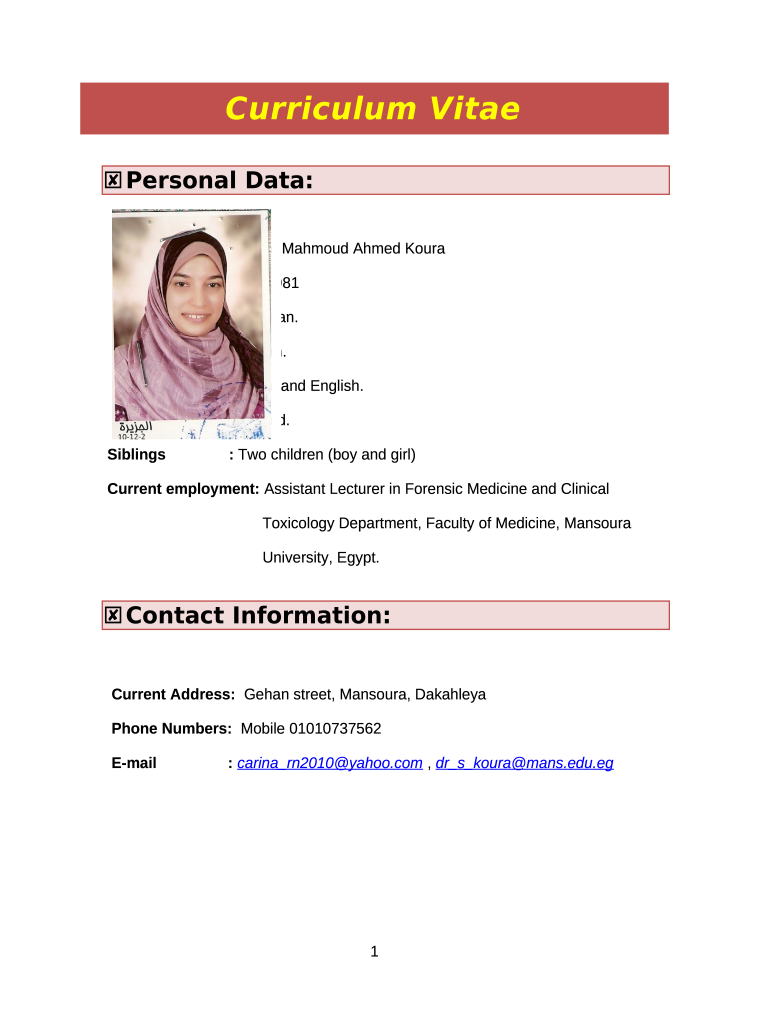 - Personal Data: Doc Template | pdfFiller