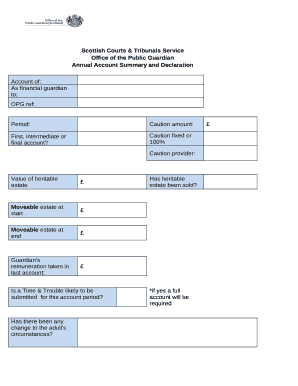 Annual/Final Account Summary of Account Doc Template | pdfFiller