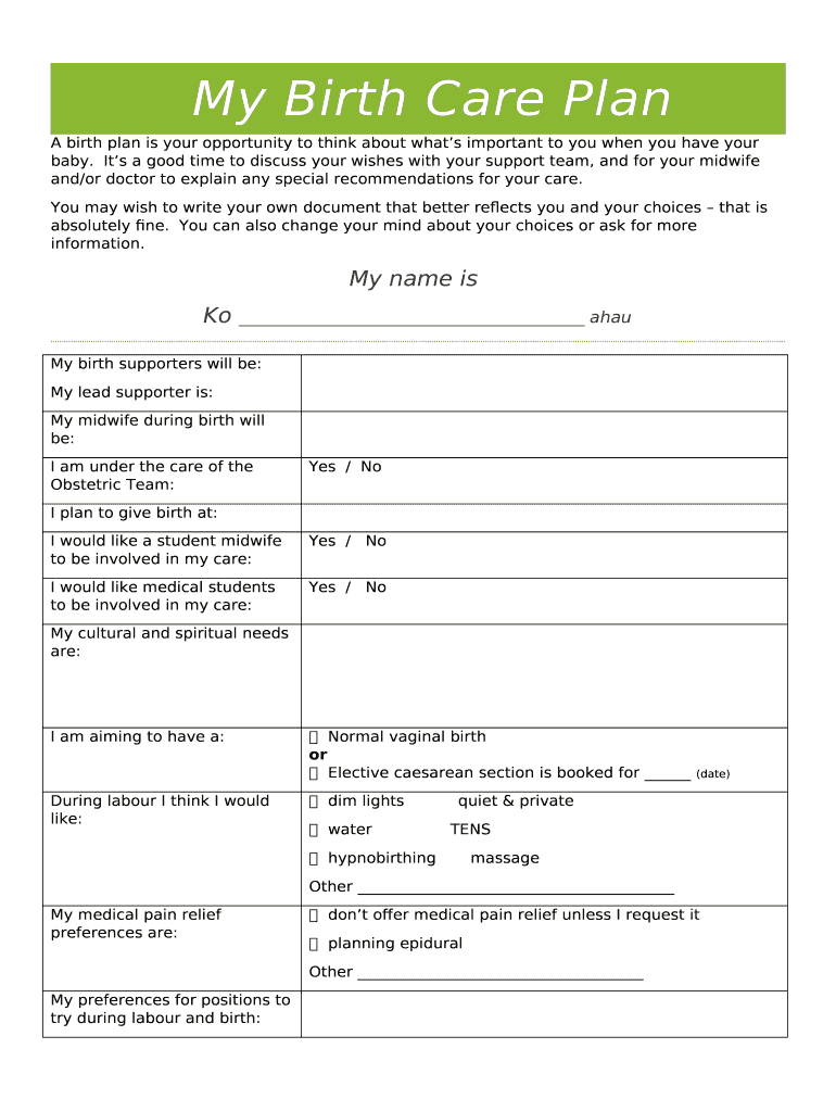 My Birth Care Plan Doc Template | pdfFiller