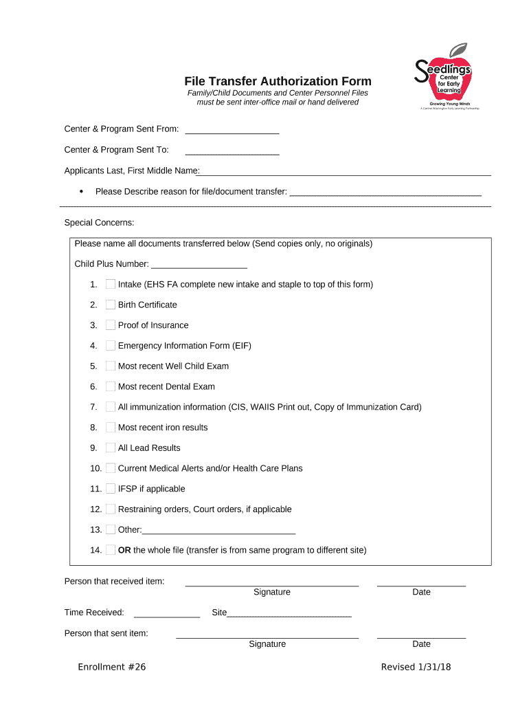 EPIC Transfer Authorization Doc Template | pdfFiller