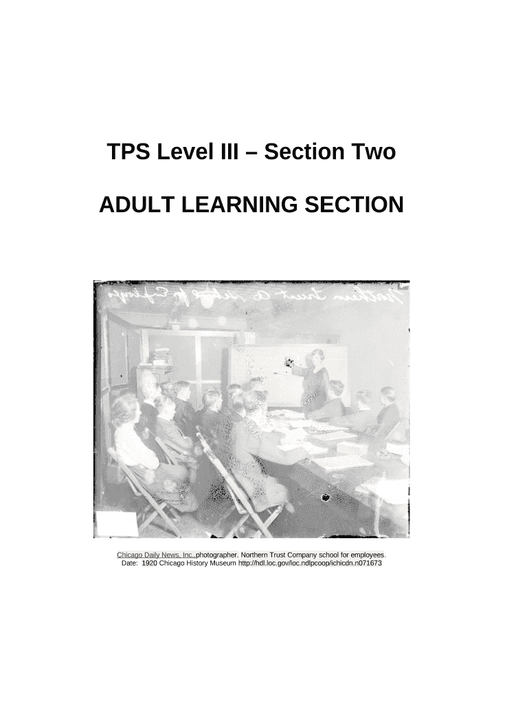 TPS Level III Section Two Doc Template | pdfFiller