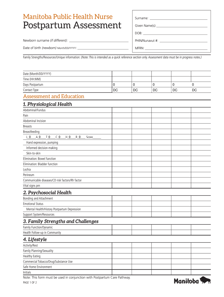 Canada PHN Postpartum Assessment 2019-2022 - Fill and Sign Printable ...