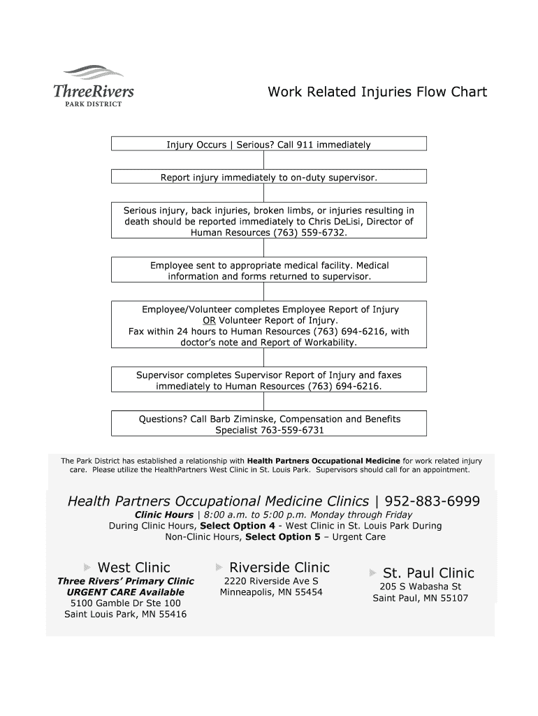 Fillable Online Work Related Injuries Flow Chart Fax Email Print ...
