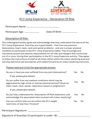 Fillable Online iFLY Jump Experience - Declaration Of Risk Fax Email ...