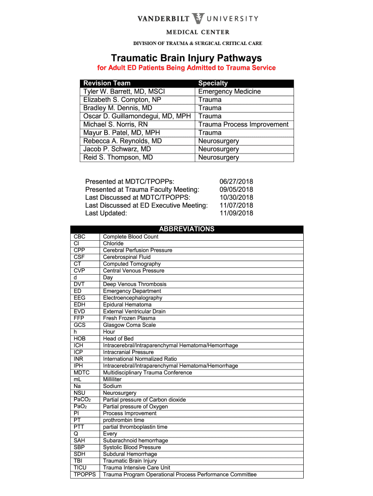 Fillable Online Traumatic Brain Injury Pathways Fax Email Print - pdfFiller