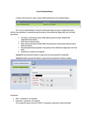 Fillable Online Current Caseload Report Fax Email Print - pdfFiller
