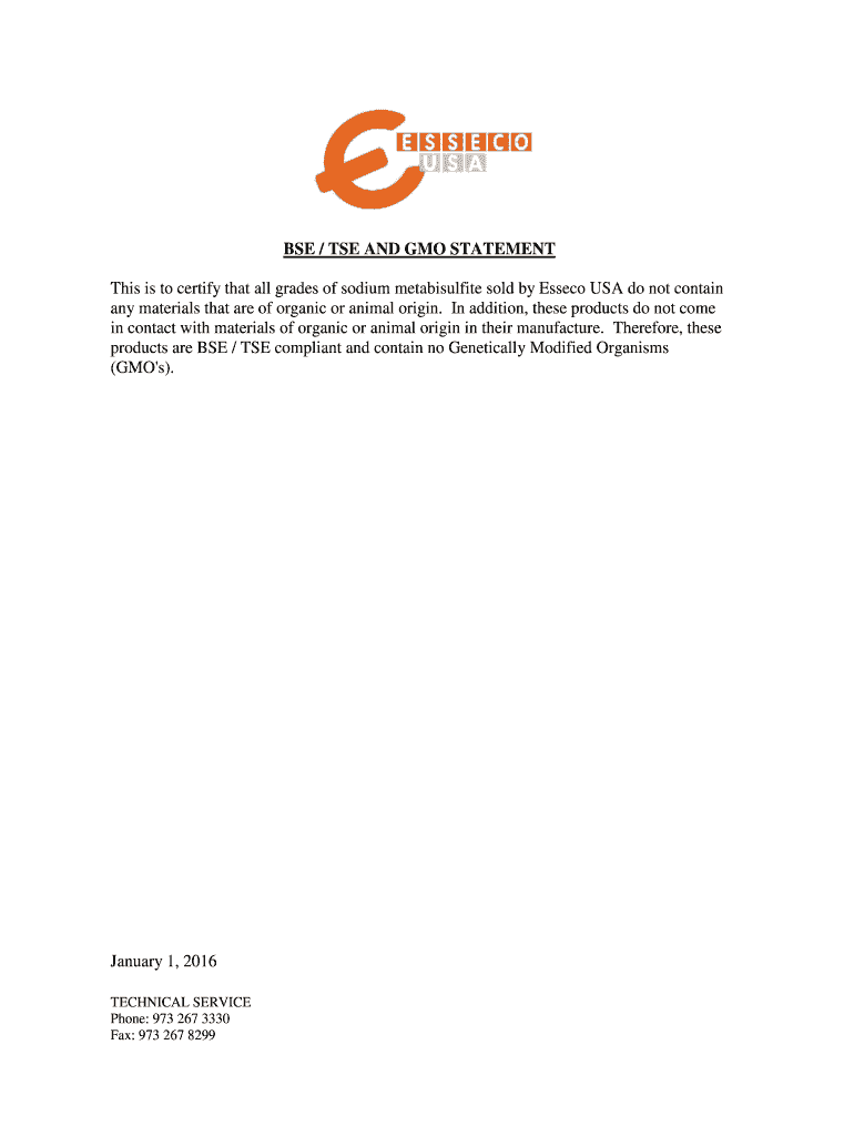 Bse Tse Statement Example - Fill Online, Printable, Fillable, Blank ...