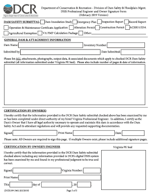 Fillable Online DSIS Professional Engineer and Owner Signature Form Fax ...