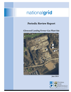 Fillable Online Periodic Review Report Template Fax Email Print - pdfFiller