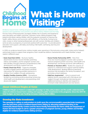 Fillable Online Effective, Evidence-Based Home Visiting Programs in ...