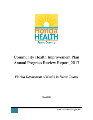 Fillable Online Community Health Improvement Plan Annual Progress ...