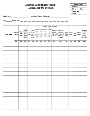 Fillable Online LLM Caseload and Birth Log Fax Email Print - pdfFiller