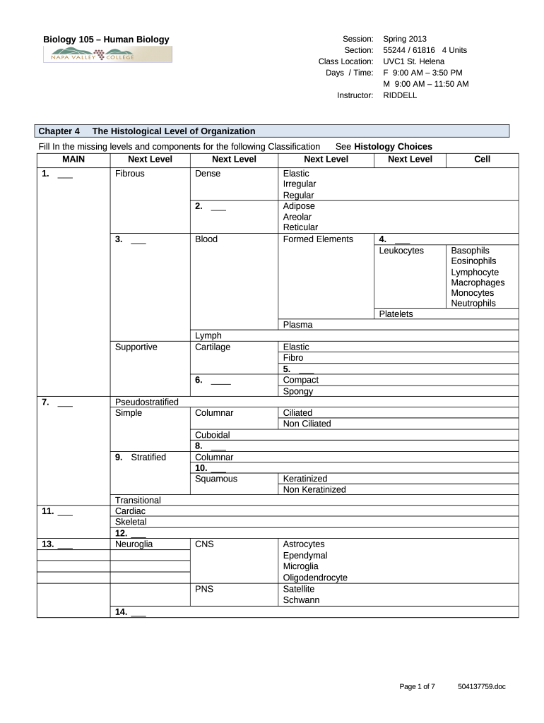 level 4 tissue histology Flashcards and Study SetsQuizlet Doc Template ...