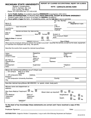 Authorization to Invoice MSU - MSU Human Resources Doc Template | pdfFiller
