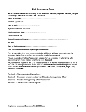 Risk Assessment . Criminal records bureau Doc Template | pdfFiller