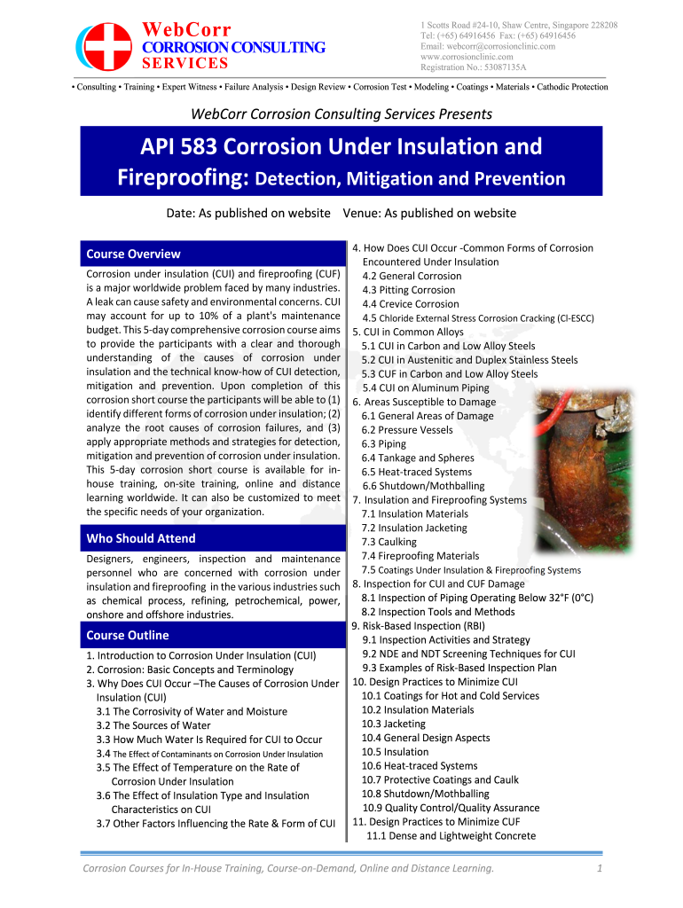 Api 583 Pdf Download - Fill Online, Printable, Fillable, Blank | pdfFiller