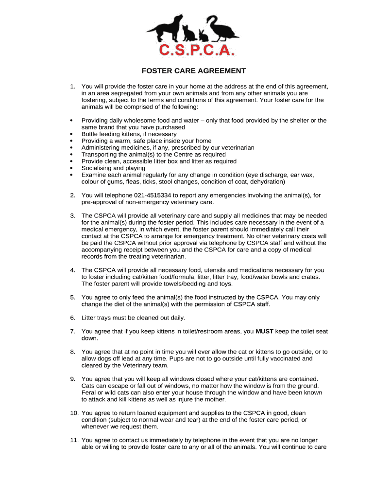 Reunification: Bringing Your Children Home From Foster Care Doc ...