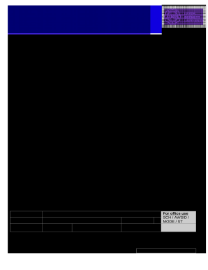 BLACK INK and BLOCK CAPITALS Name (in full) About you Doc Template ...