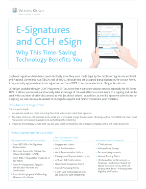 Fillable Online and CCH eSign Fax Email Print - pdfFiller