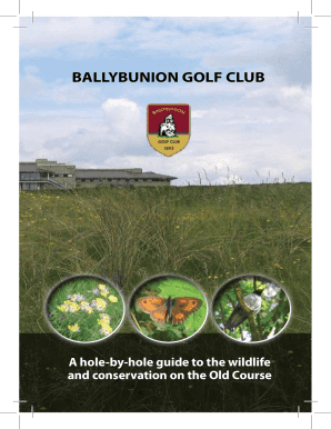 Fillable Online Undergraduate Computer Science BA Flowchart Fax Email ...