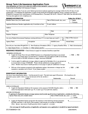 Fillable Online Downloadable Basic Term Application - Wright USA Fax Email Print - pdfFiller
