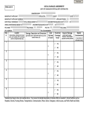 Fillable Online DAP-19 Local Damage Assessment Form Fax Email Print ...