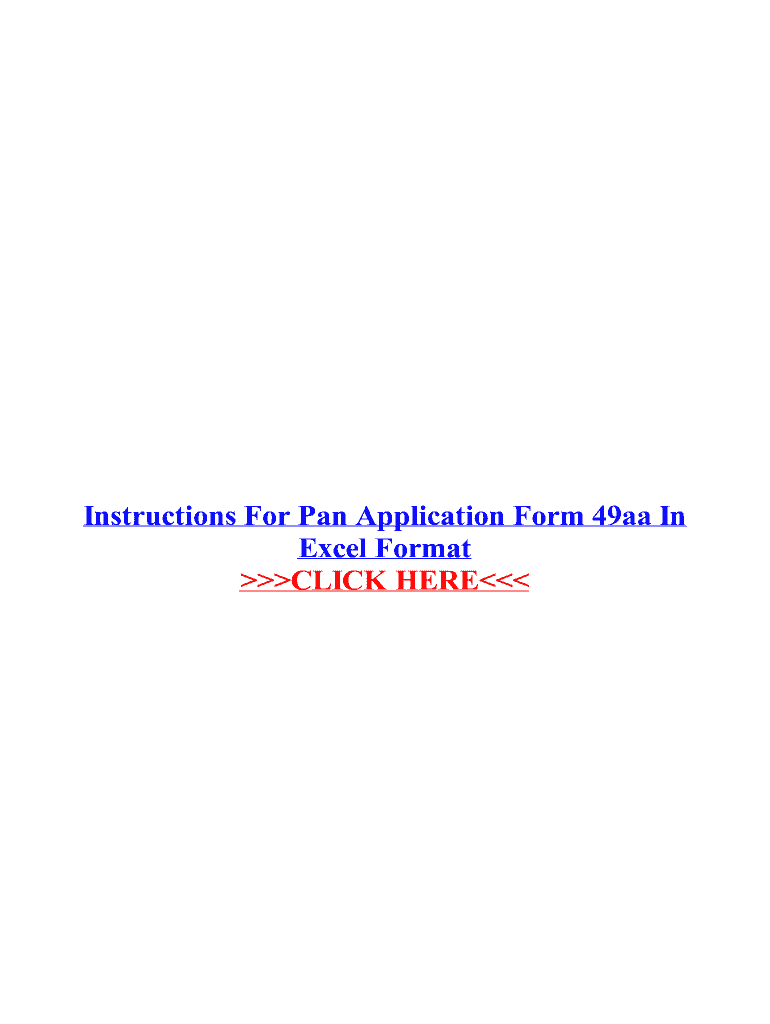 Fillable Online Instructions For Pan Application Form 49aa In Excel ...