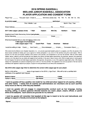 Fillable Online PLAYER APPLICATION AND CONSENT FORM Fax Email Print ...