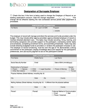 Fillable Online Support Service Professional (SSP) Employment Packet ...