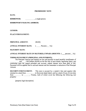 Real Estate Lien Note 2020-2024 - Fill and Sign Printable Template Online