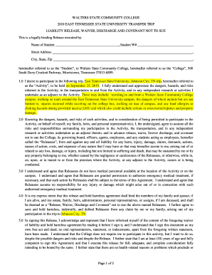 Fillable Online EXAMPLE--Participation Information and Release Form ... Fax Email Print - pdfFiller