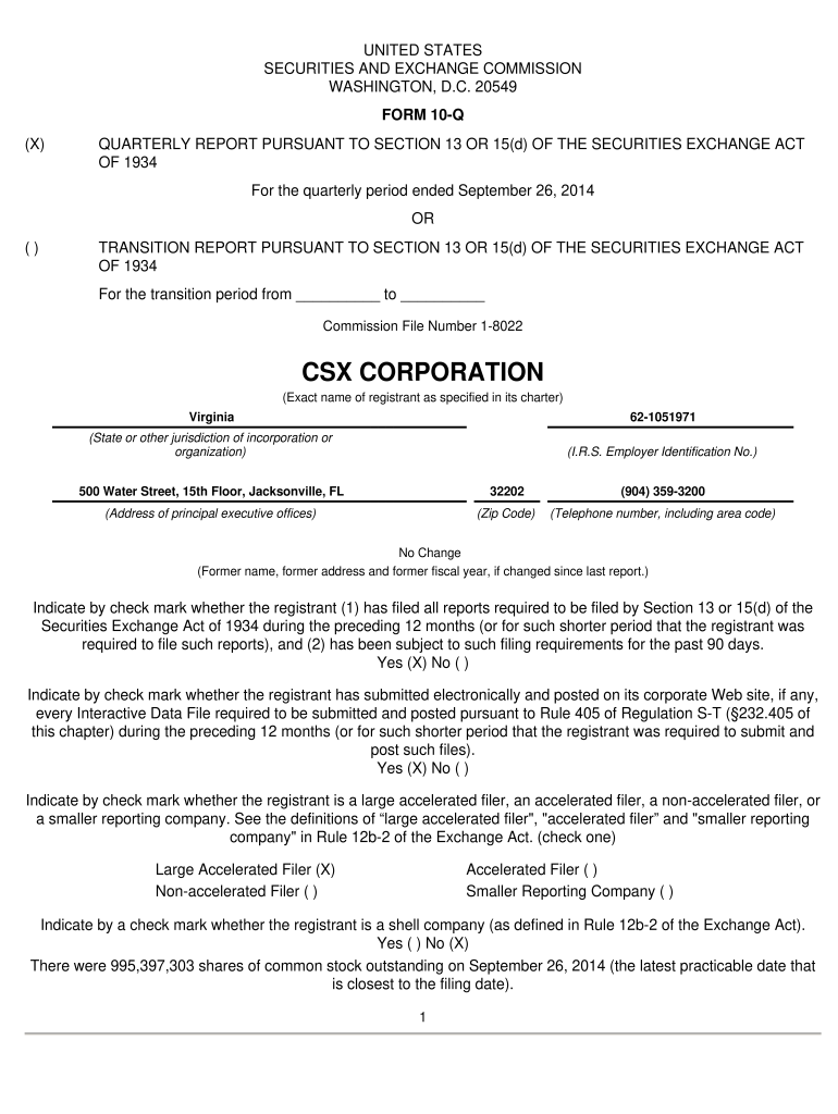 Fillable Online See the definitions of large accelerated filer ...