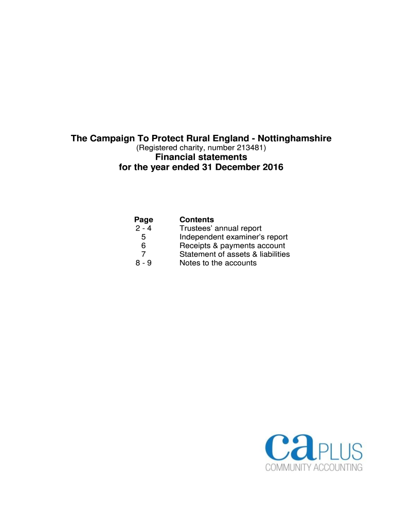 Fillable Online account template. charity receipts and payments Fax ...
