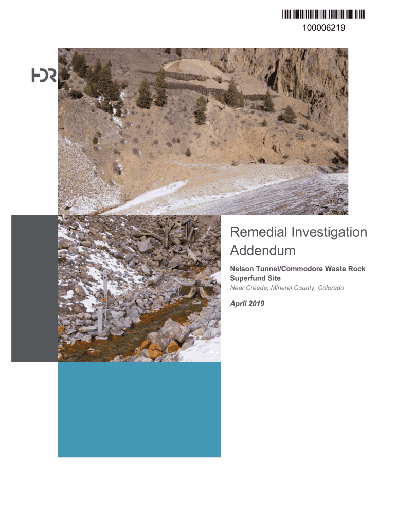 Fillable Online Nelson Tunnel Superfund Site - Final Remedial ... Fillable Online Nelson Tunnel Superfund Site - Final Remedial ...