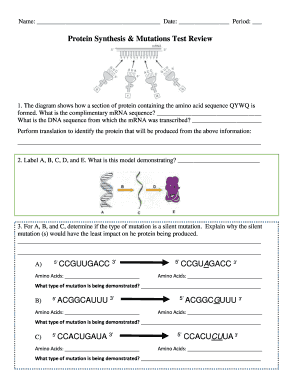 Fillable Online Protein Synthesis & Mutations Test Review Fax Email ...